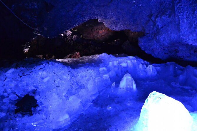 From Tokyo: Mt Fuji Lawson & Mt. Fuji Iconic Lakes 1-Day Bus Tour - Who Should Consider This Tour?