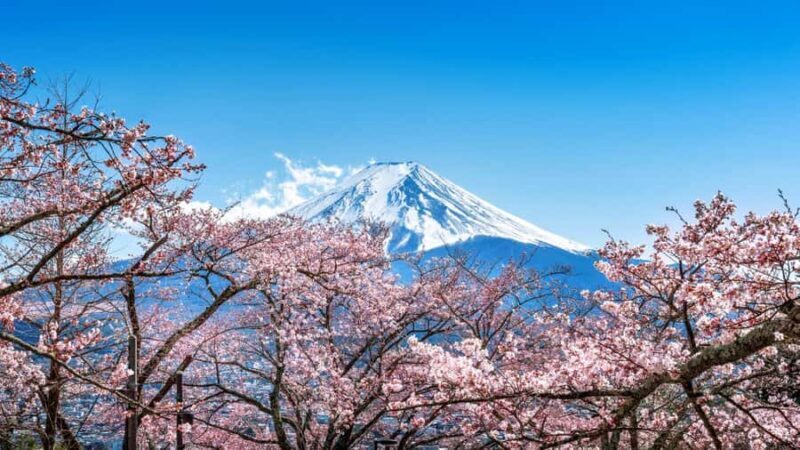 From Tokyo: Mt. Fuji One-Day Private and Customizable Tour - The Value of a Private, Customizable Tour