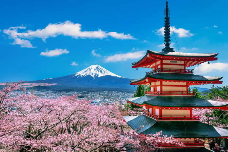 From Tokyo: Mt. Fuji One-Day Private and Customizable Tour - Who Should Consider This Tour?