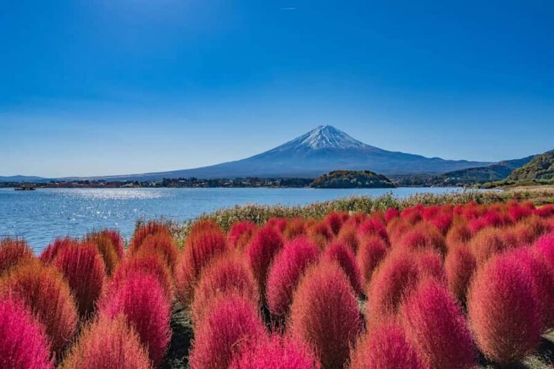 From Tokyo: Mt. Fuji One-Day Private and Customizable Tour - FAQs