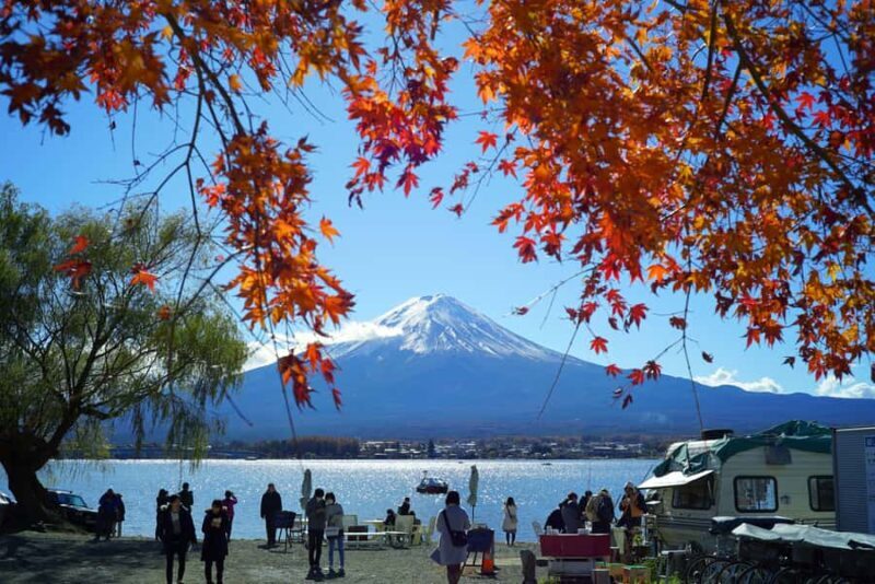 From Tokyo Mt. Fuji Private Tour In Prado Fully Adjustable - An Elegant Way to See Mt. Fuji