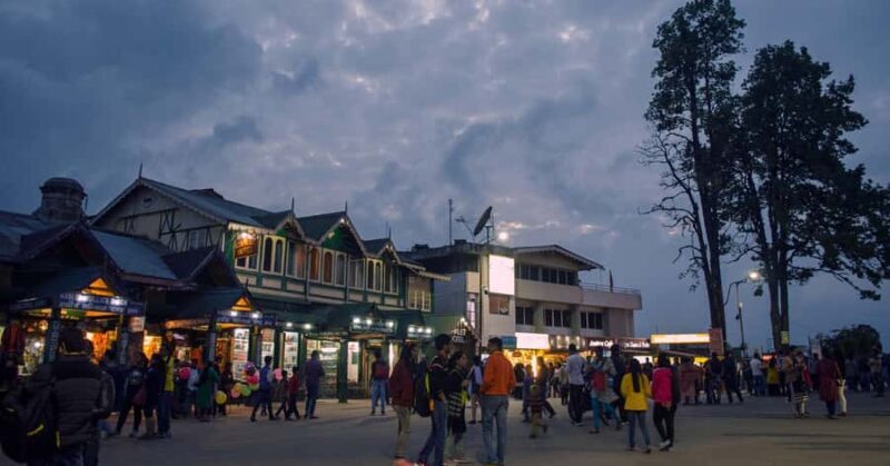 From Tokyo Mt. Fuji Private Tour In Prado Fully Adjustable - What Makes This Tour Stand Out?