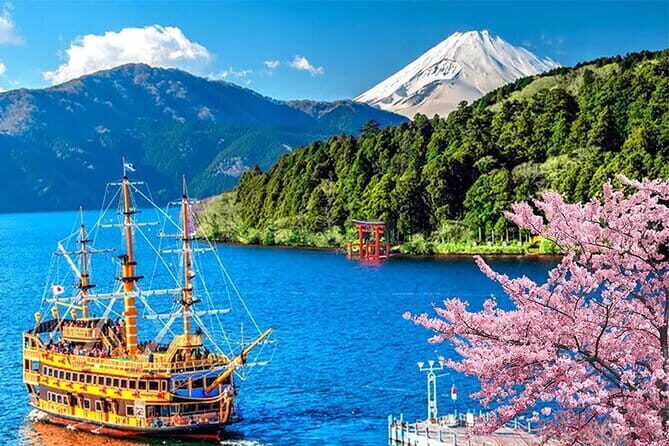 From Tokyo: Mt. Fuji Private Tour With English Speaking Driver - Who is This Tour Best For?
