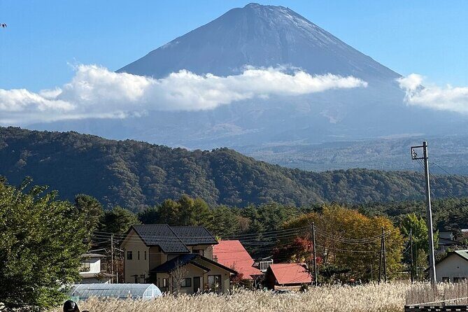From Tokyo-MT Fuji PVT 1 Day Customized Tour with English Driver - Chureito Pagoda: An Iconic Photo Spot