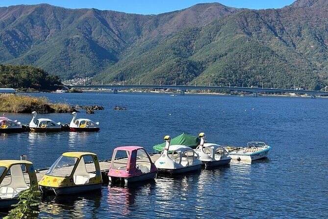 From Tokyo-MT Fuji PVT 1 Day Customized Tour with English Driver - Lake Kawaguchiko: Nature and Relaxation