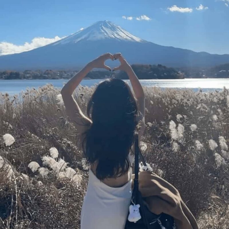 From Tokyo: Must-Visit Mount Fuji Highlight Full-Day Tour - An Honest Look at the Itinerary