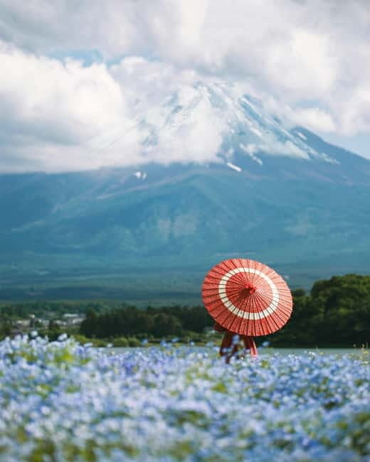 From Tokyo: Must-Visit Mount Fuji Highlight Full-Day Tour - FAQ – Practical questions about the Mount Fuji tour