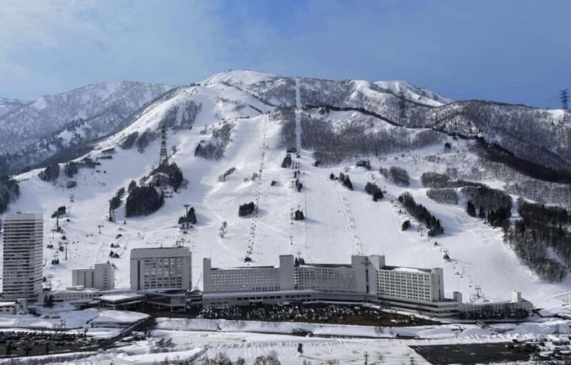 From Tokyo: Naeba Ski Resort Day Trip with Lift Pass - The Experience: What Past Travelers Say
