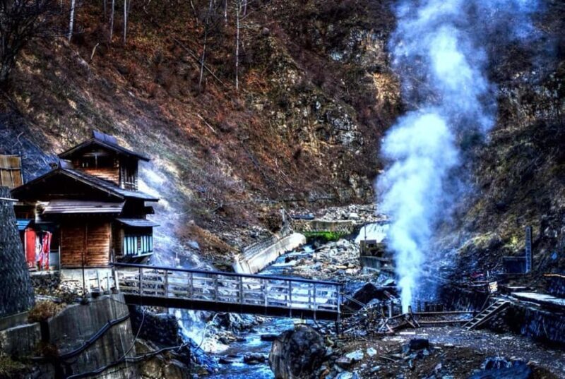 From Tokyo: Nagano Full Day Private Snow Monkey Park Tour - Key Points