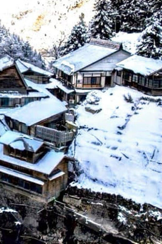 From Tokyo: Nagano Full Day Private Snow Monkey Park Tour - Who Is This Tour Best For?