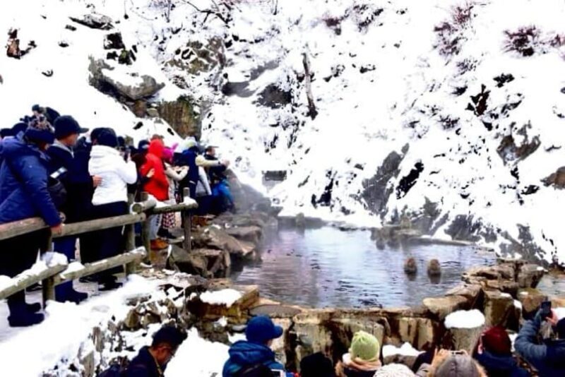 From Tokyo: Nagano Full Day Private Snow Monkey Park Tour - FAQ