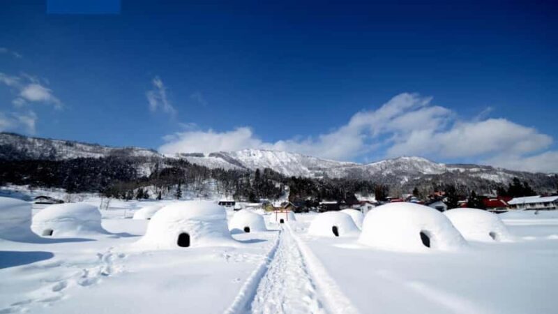 From Tokyo: Nagano Private Tour with Igloo Village & Monkeys - Practical Tips for Your Trip