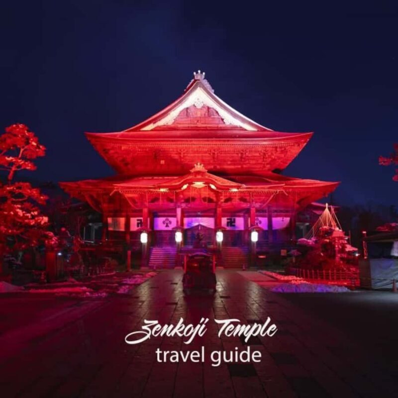 From Tokyo & Nagano: Snow Monkey Private Customizable Tour - Is This Tour for You?