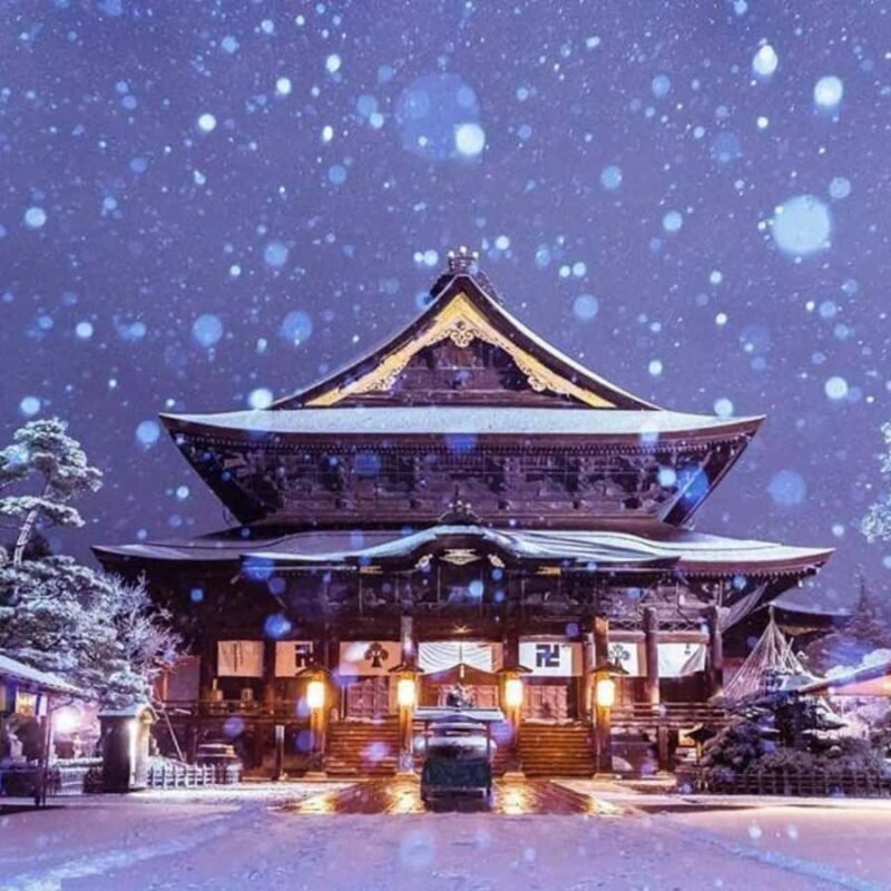 From Tokyo & Nagano: Snow Monkey Private Customizable Tour - The Sum Up: Who Should Consider This Tour?