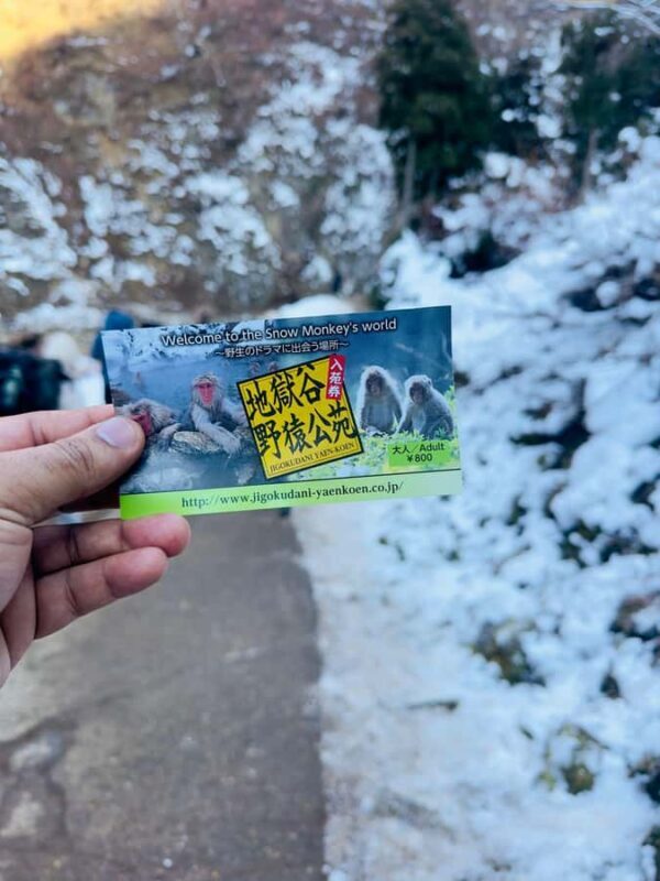 From Tokyo & Nagano Snow Monkeys Park Customized Day Tour - Key Points