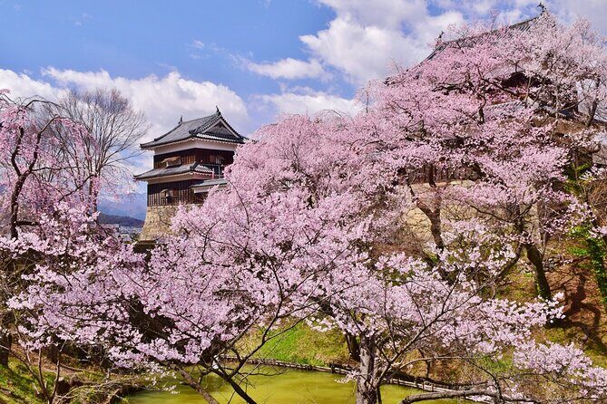 From Tokyo: National Treasure Matsumoto Castle & Cherry Blossom - Key Points