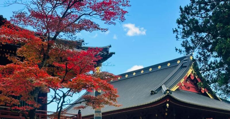 From Tokyo: Nikko Customize private Tour With English Driver - Analyzing the Value: Is It Worth the Price?