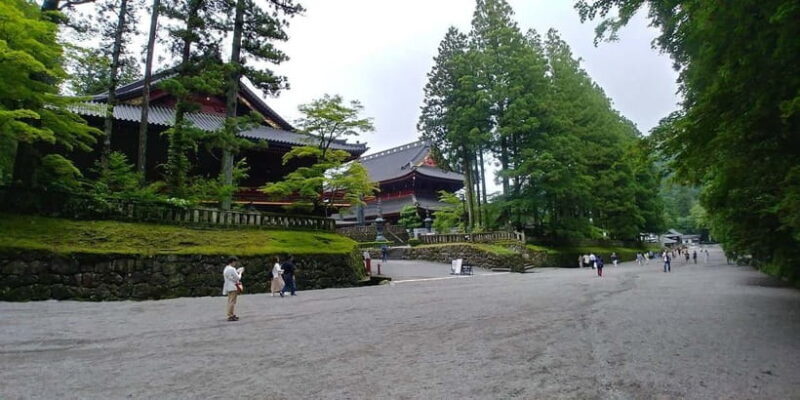 From Tokyo: Nikko Customize private Tour With English Driver - What Travelers Say