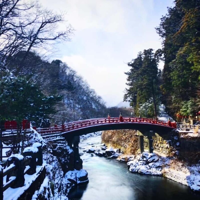 From Tokyo: Nikko Customized Tour With English Driver/Guide - Key Points