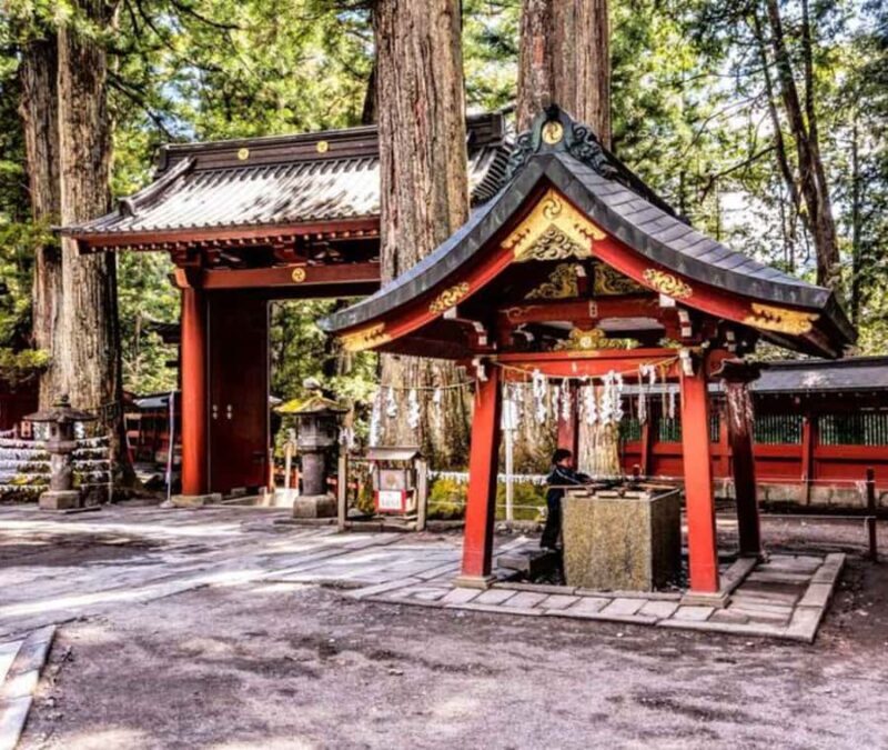 From Tokyo: Nikko Full Day Customizable Private Tour - Final Thoughts: Is It Worth It?