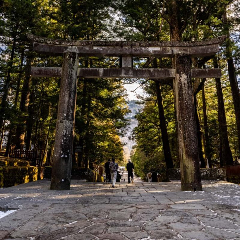 From Tokyo: Nikko Full Day Customize Tour With English Guide - The Sum Up