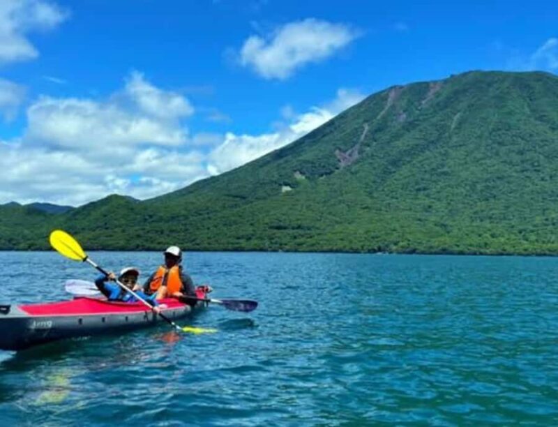 From Tokyo: Nikko Full Day Private Customizable Private Tour - An Authentic Day in Nikko: What to Expect