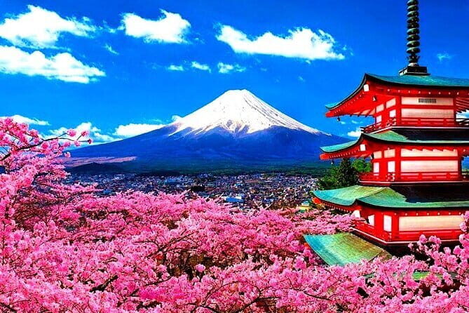 From Tokyo: Nikko Full Day Private Tour by Private Vehicle - FAQs