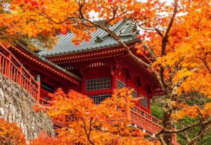 From Tokyo: Nikko Full Day Private Tour with English Guide - An In-Depth Look at the Itinerary and Experience