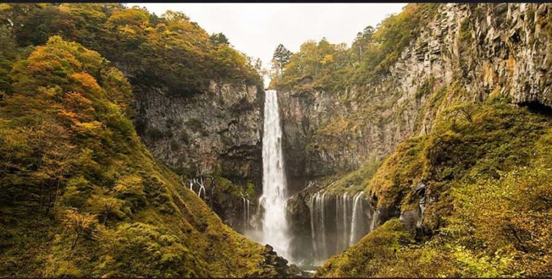 From Tokyo: Nikko Heritage Sights Private Day Tour - The Experience: What Travelers Say