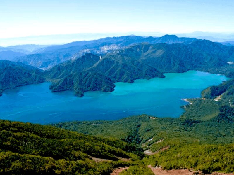 From Tokyo, Nikko Lake Chuzenji Kegan Falls Private Day Trip - Authentic Experiences & Practical Insights