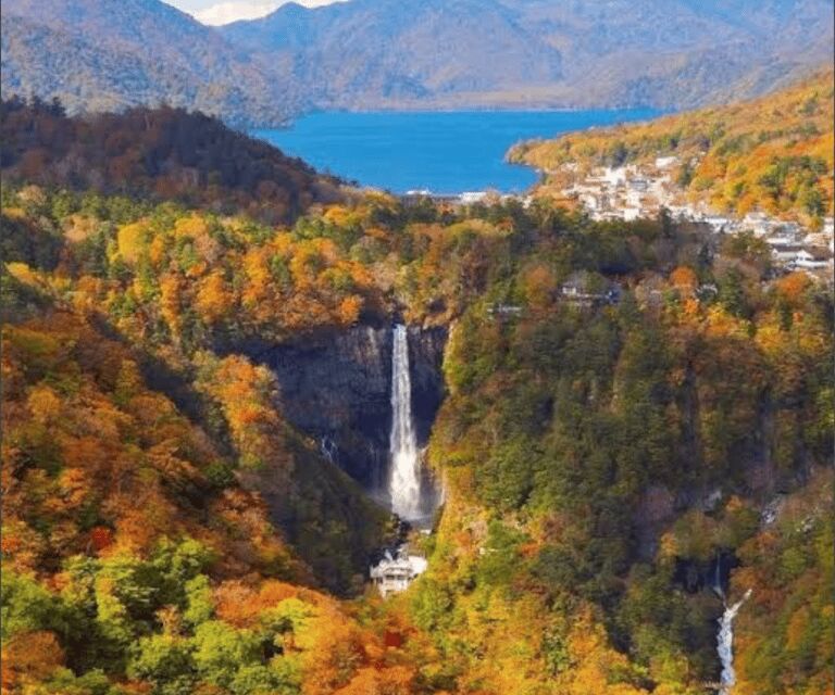 From Tokyo, Nikko Lake Chuzenji Kegan Falls Private Day Trip - Who Should Consider This Tour?