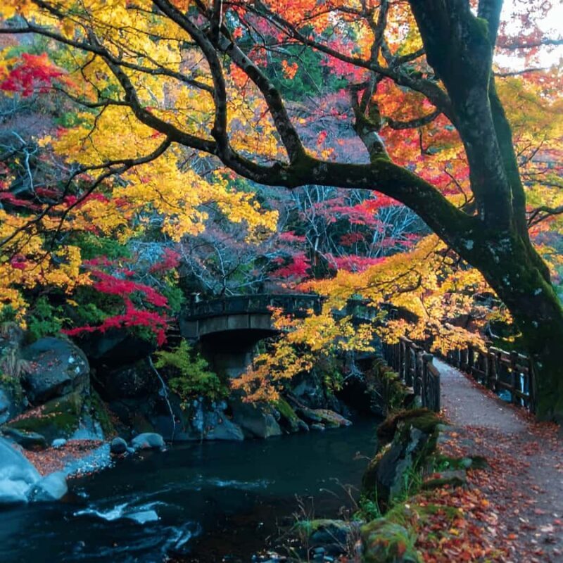 From Tokyo Nikko Lake Chuzenji & Toshogu Temple, Kegon Falls - Key Points