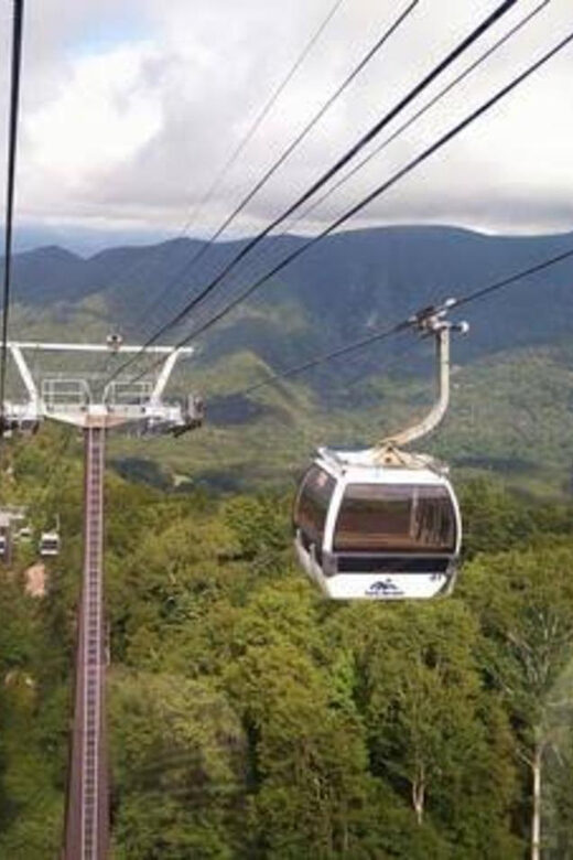 From Tokyo: Nikko luxury Tour with English-speaking Guide - From Tokyo: Nikko Luxury Tour with English-speaking Guide - A Detailed Review