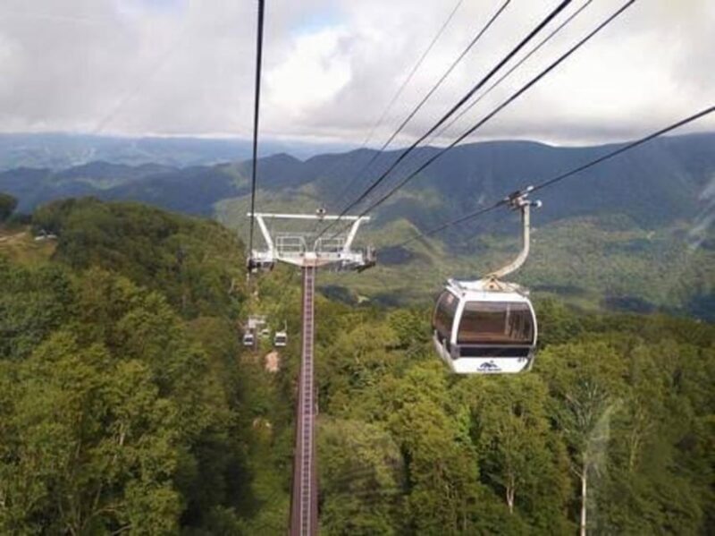 From Tokyo: Nikko luxury Tour with English-speaking Guide - Why This Tour Offers Good Value