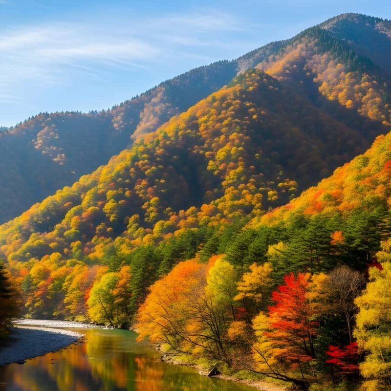 From Tokyo: Nikko National Park Private Full Day Tour In Car - Key Points