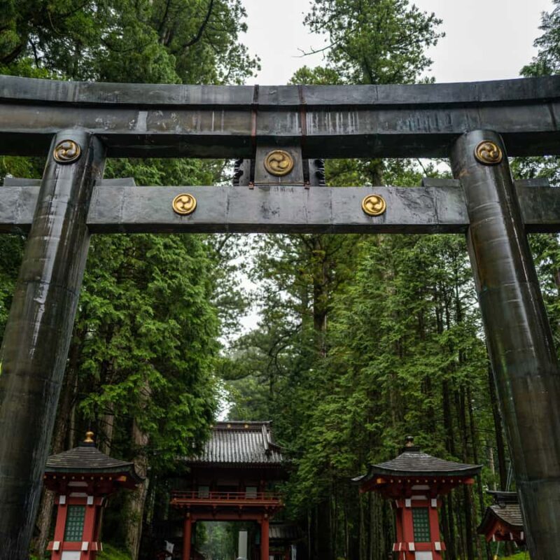 From Tokyo: Nikko National Park Private Full Day Tour In Car - Transportation & Group Size
