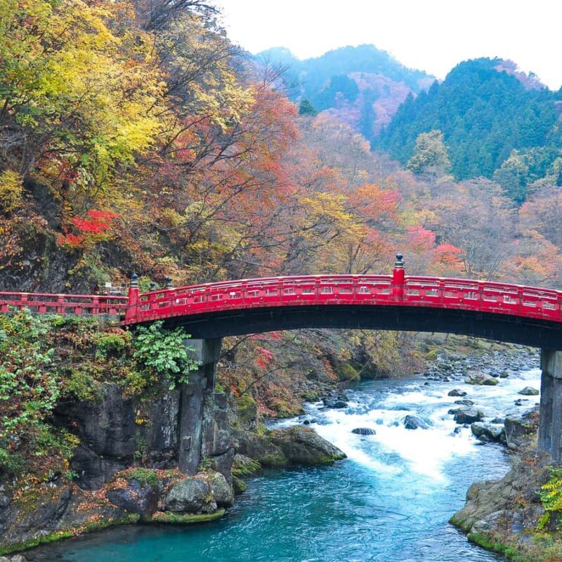 From Tokyo: Nikko National Park Private Full Day Tour In Car - How Long Does It Take & What’s the Pace?