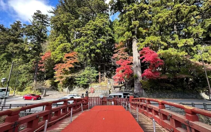 From Tokyo: Nikko One-Day Private Tour - Kegon Falls: Japan’s Spectacular Waterfall