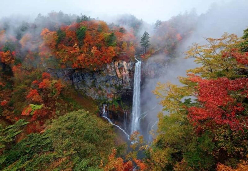 From Tokyo: Nikko One-Day Private Tour - Shinkyo Bridge: A Spiritual Gateway