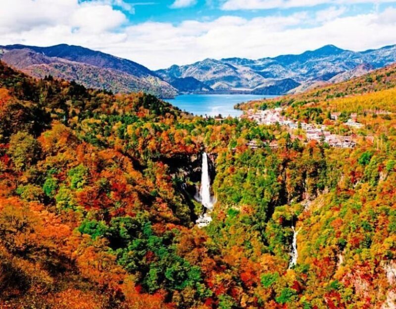 From Tokyo: Nikko private 1-day sightseeing Tour with Guide - Toshogu Shrine: The Heart of the Tour