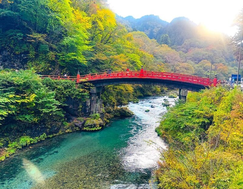From Tokyo: Nikko private 1-day sightseeing Tour with Guide - Authentic Experiences and Traveler Feedback