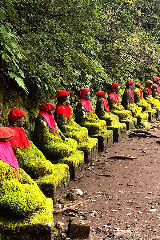 From Tokyo: Nikko private 1-day sightseeing Tour with Guide - Who Should Consider This Tour?