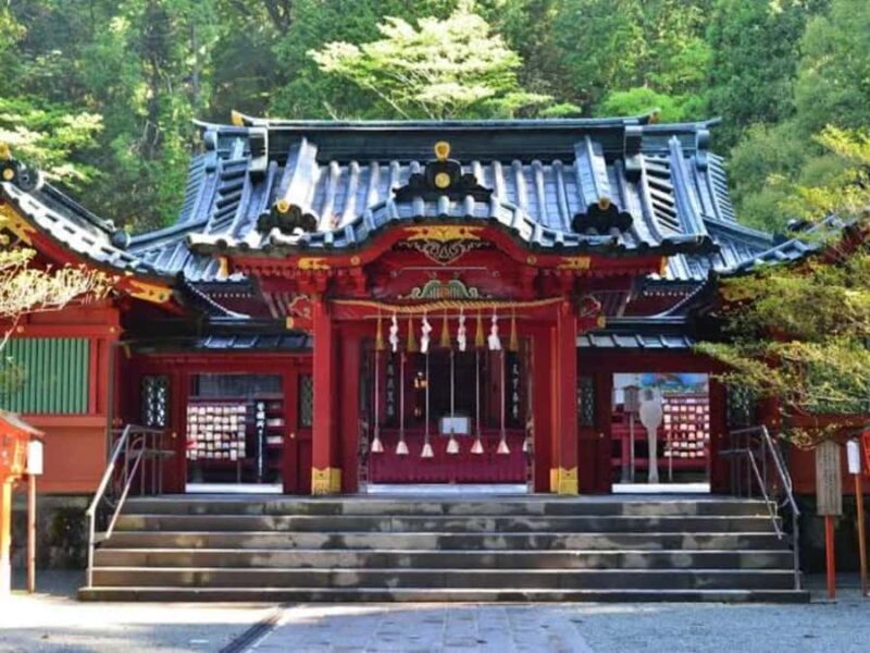 From Tokyo: Nikko Private Customizable Tour With Guide - Who This Tour Is Best For