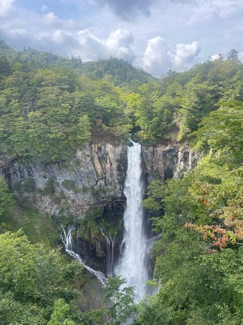 From Tokyo: Nikko private Customize Tour With English Driver - Why Choose a Private, Customizable Tour?
