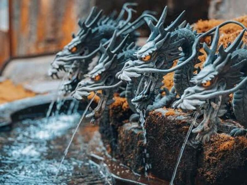 From Tokyo: Nikko Private Customized Tour with English Guide - FAQ