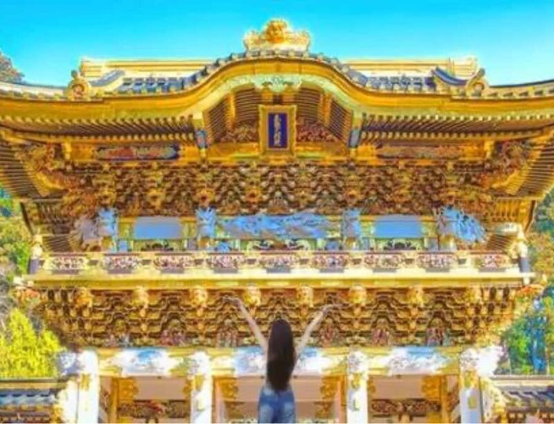 From Tokyo: Nikko Private Customized Tour With English Guide - The Basics of the Tour