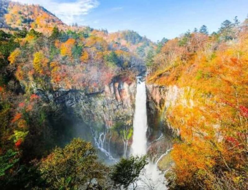 From Tokyo: Nikko Private Customized Tour With English Guide - Practical Aspects of the Tour