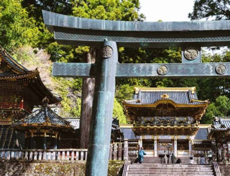 From Tokyo: Nikko Private Customized Tour With English Guide - Authentic Experiences and Traveler Feedback