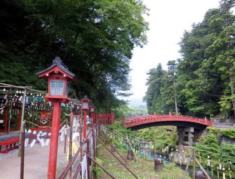 From Tokyo: Nikko Private Customized Tour With English Guide - The Sum Up
