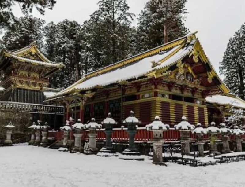 From Tokyo: Nikko Private Customized Tour With English Guide - FAQ